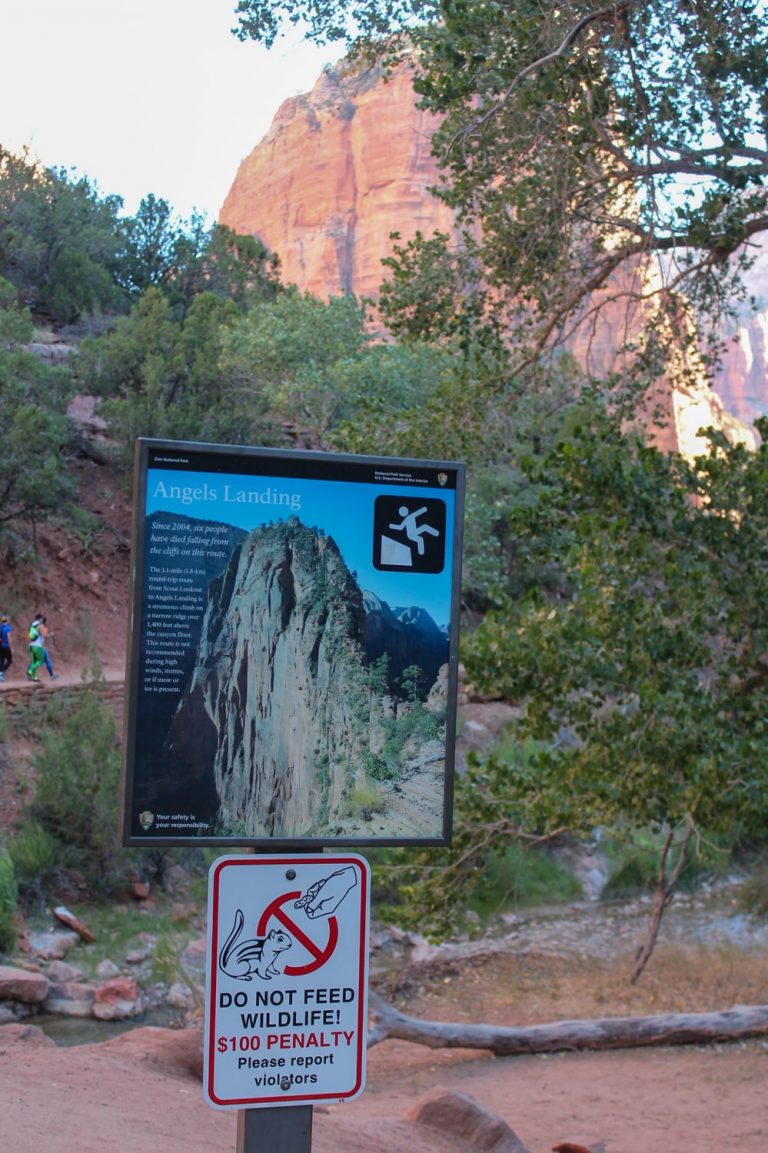 Angels Landing hike: the scariest trail in the USA