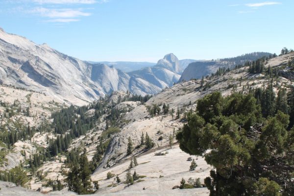 Yosemite National Park bezoeken: tips & de mooiste bezienswaardigheden