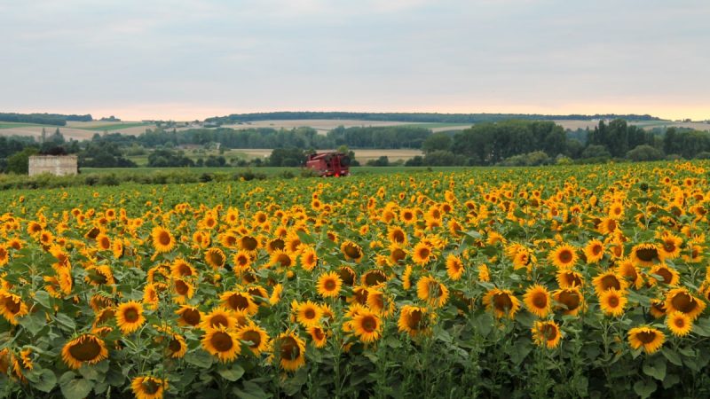 De 25 mooiste plekken in Frankrijk | Bucket List