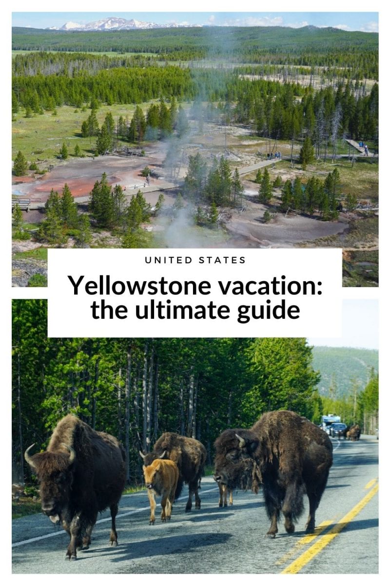 Yellowstone vacation: the ultimate guide