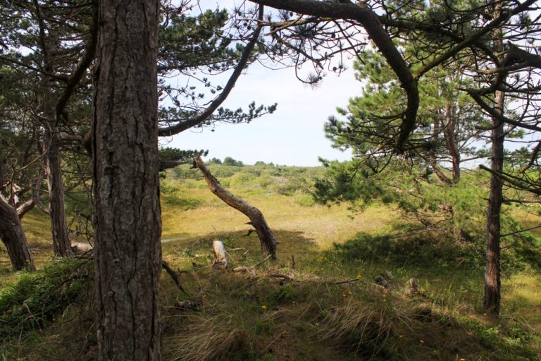 15 great things to do in Friesland (The Netherlands)