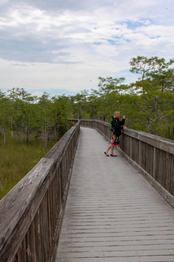 Everglades tips: everything you need to know