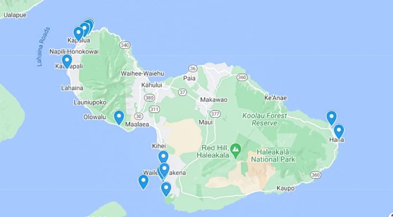 25 Best Maui Snorkeling Spots & Tours
