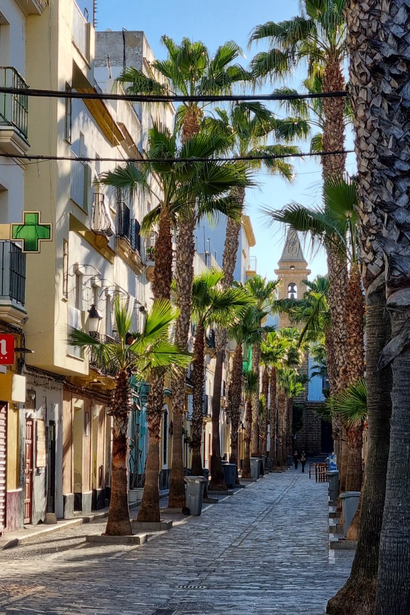 What are the best things to do in Cadiz? 17 tips!