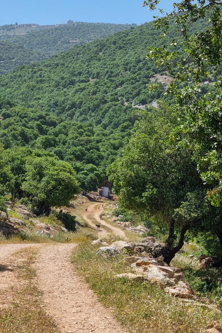 This is why you should hike the Jordan Trail: a comprehensive guide