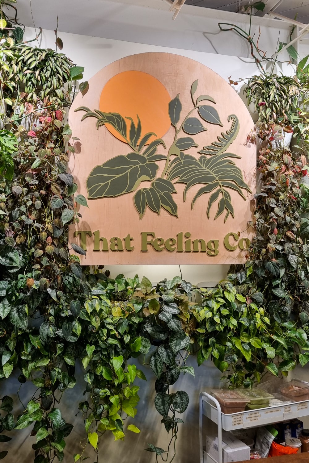 10 leuke Anchorage bezienswaardigheden: ontdek de grootste stad in Alaska